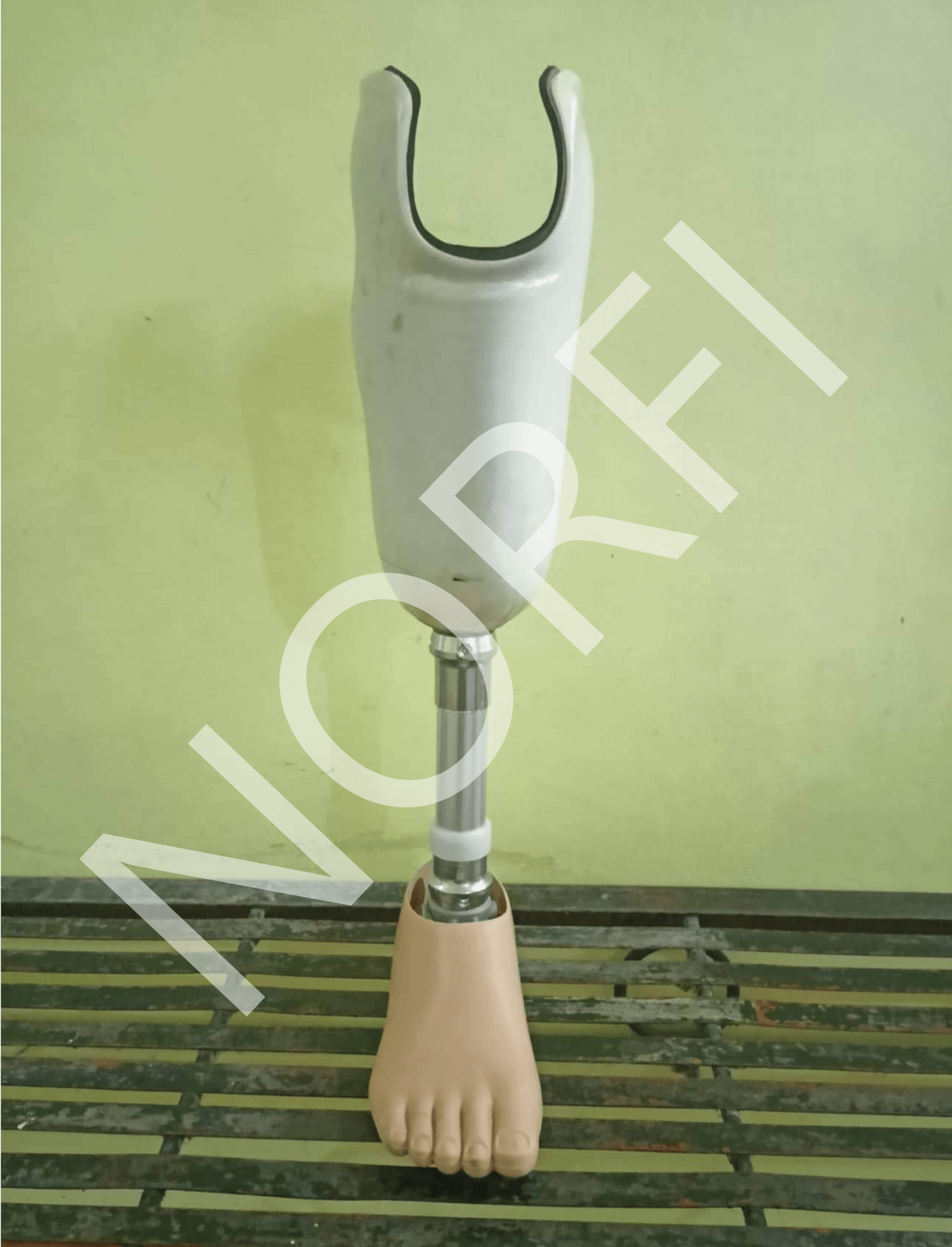 Assistive Devices – NORFI